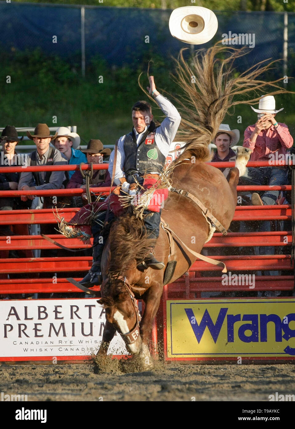 Four cowboys hi-res stock photography and images - Alamy