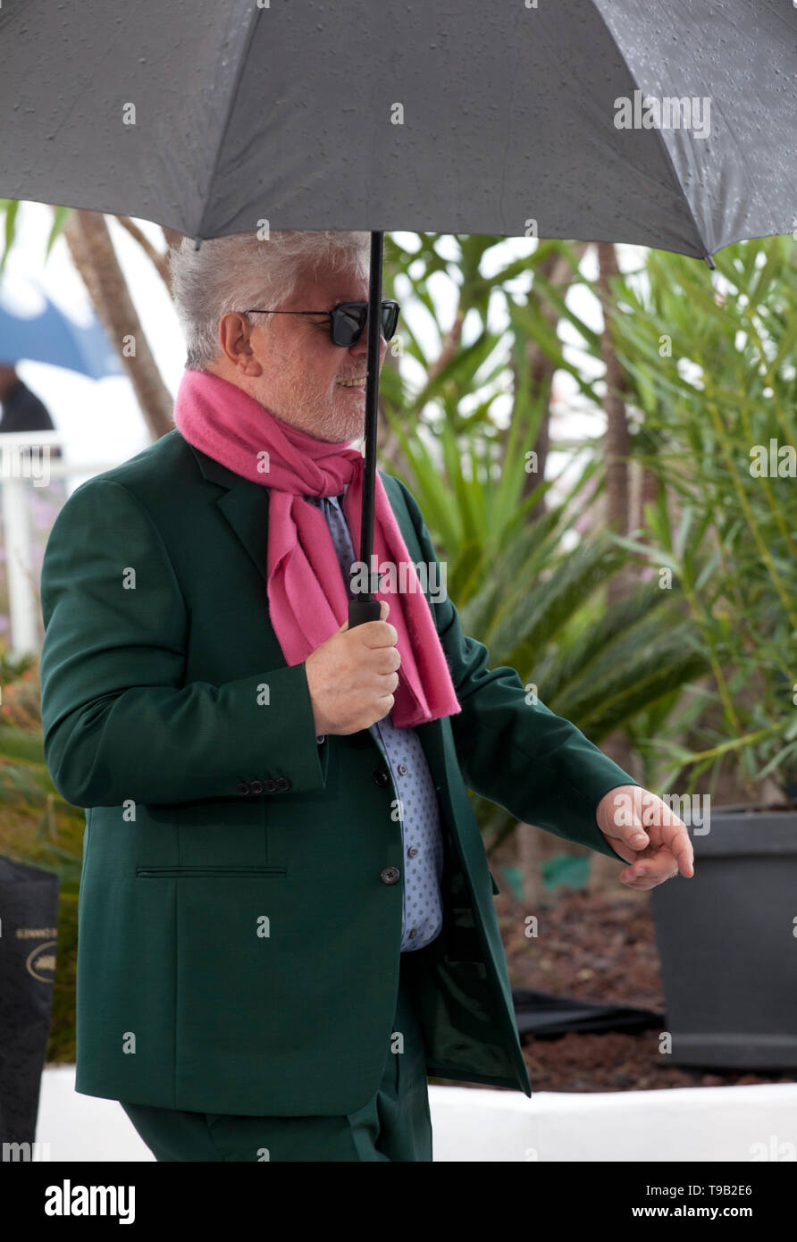 Director Pedro Almodóvar at Dolor Y Gloria (Pain and Glory) film photo ...