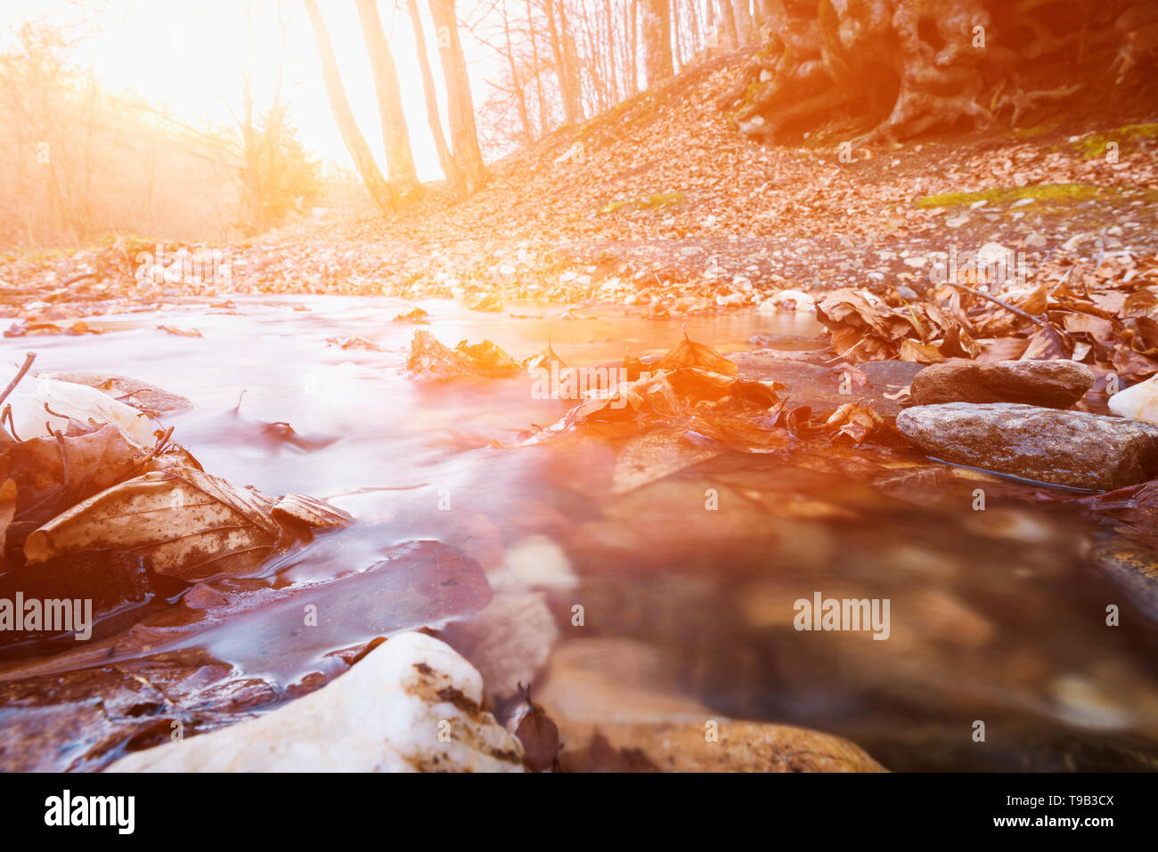 Mountain spring with clean natural water Stock Photo - Alamy