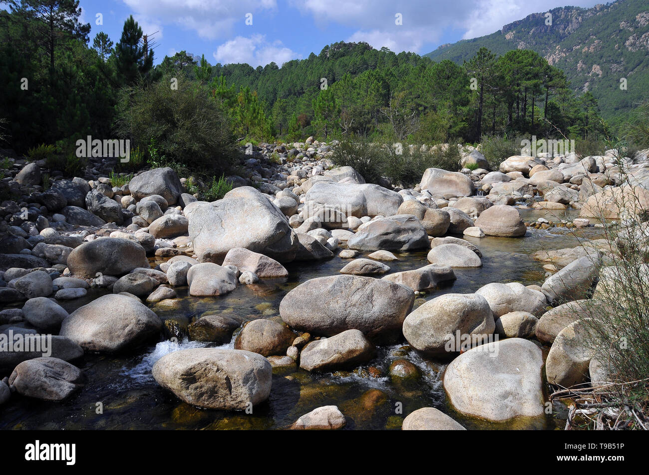 River of Fiumicelli, Corsica, France Stock Photo - Alamy