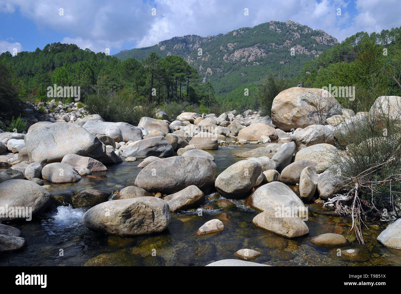 River of Fiumicelli, Corsica, France Stock Photo - Alamy