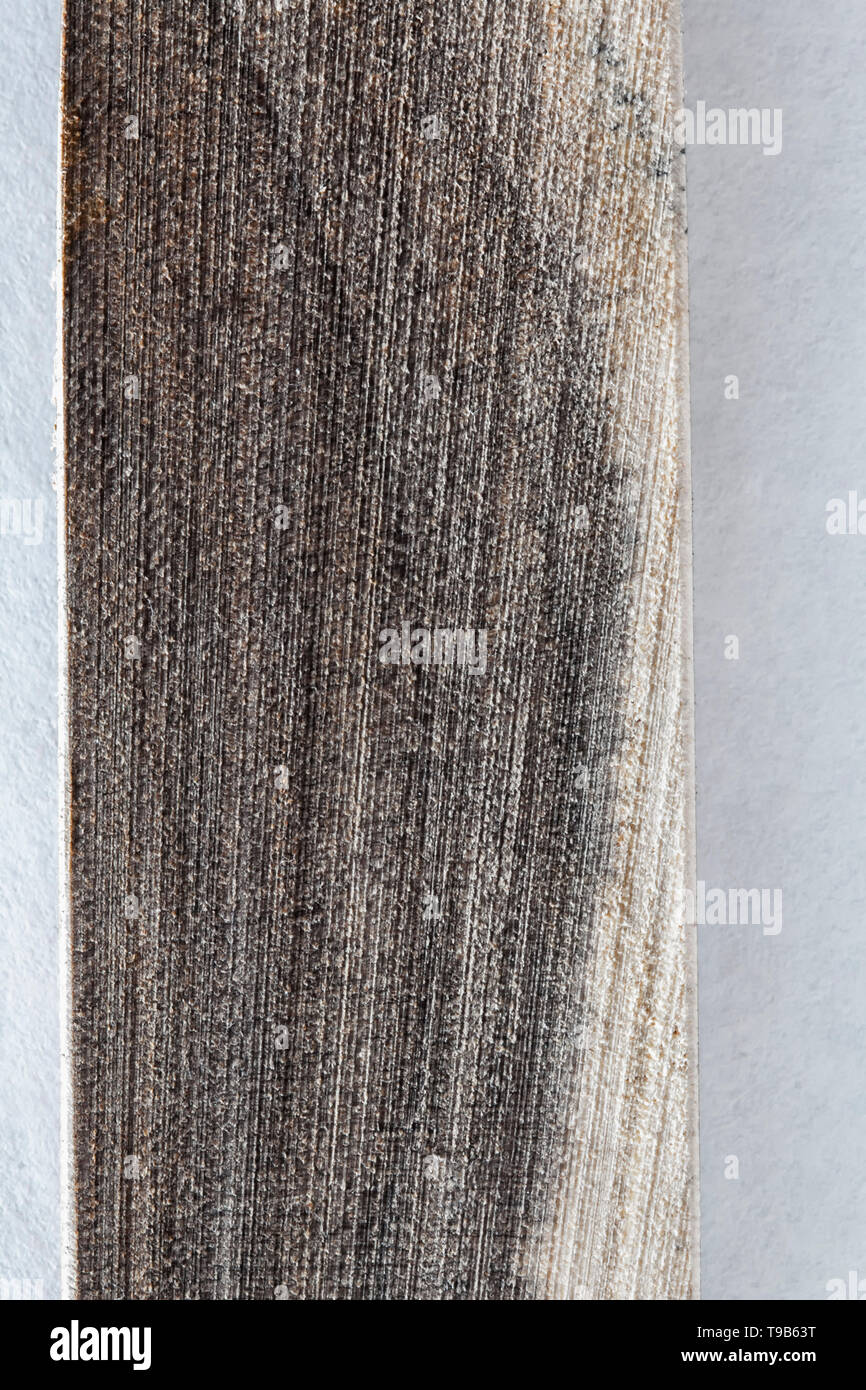 Acacia wood texture hi-res stock photography and images - Alamy