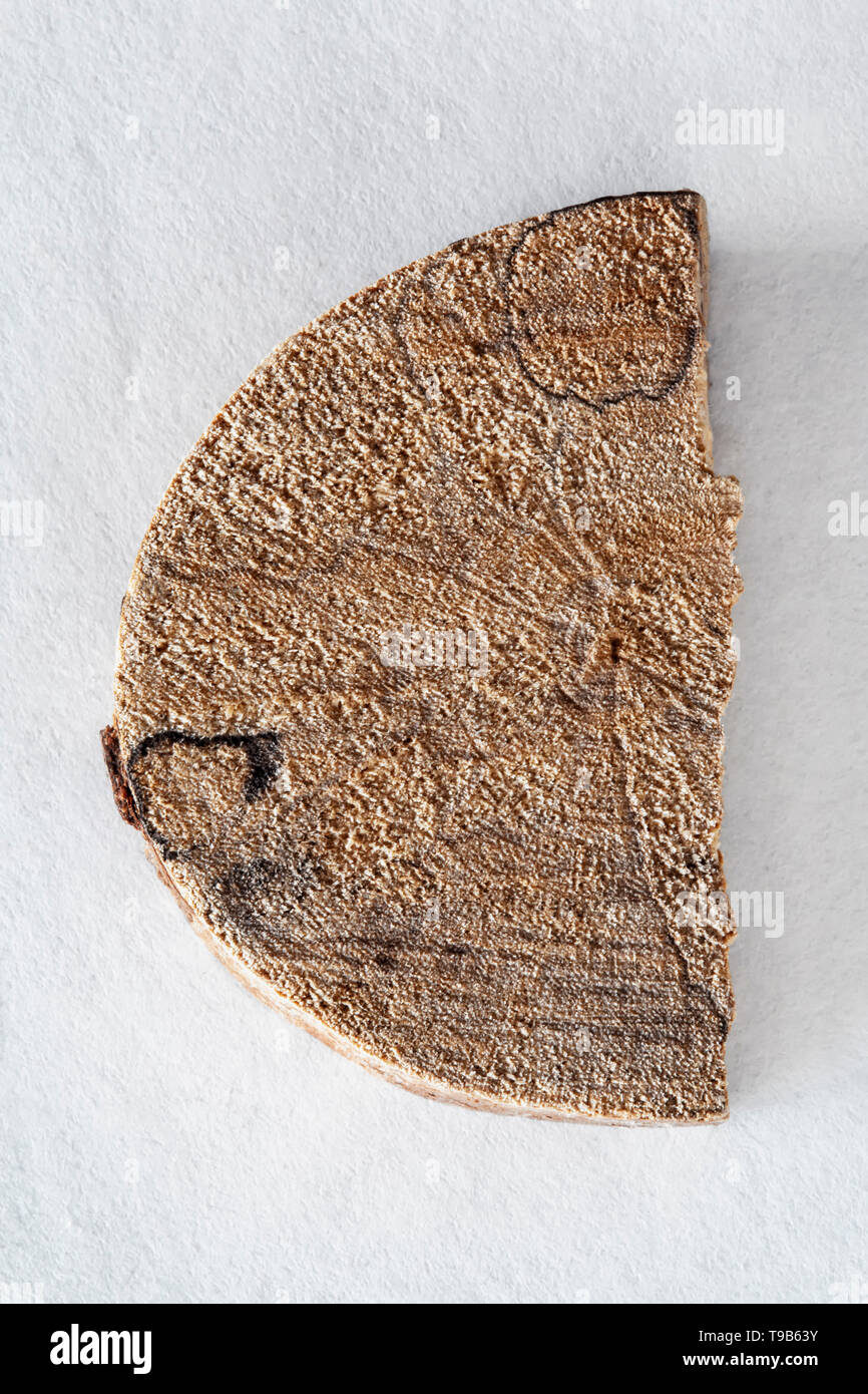 Semi rings hi-res stock photography and images - Alamy