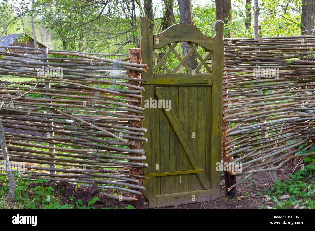 Woven Fence Made Of Tree Limbs