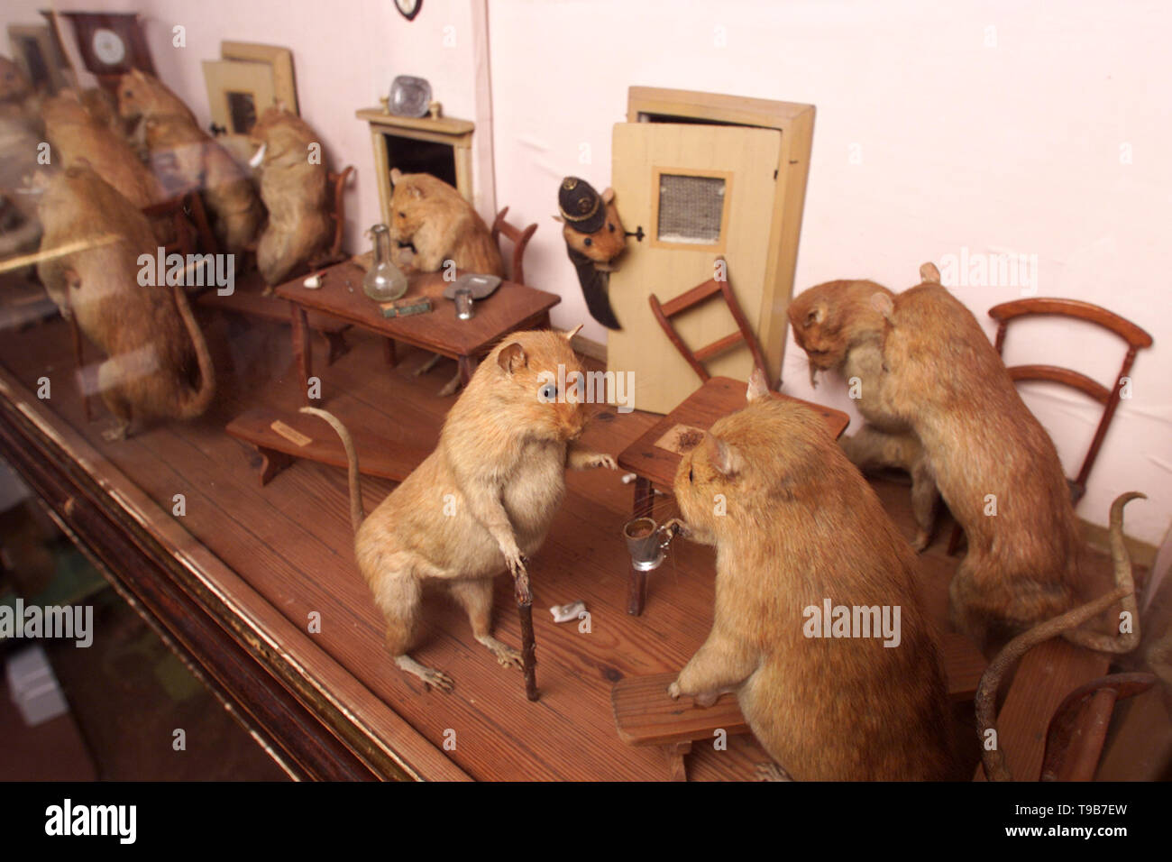 Walter Potter Squirrels