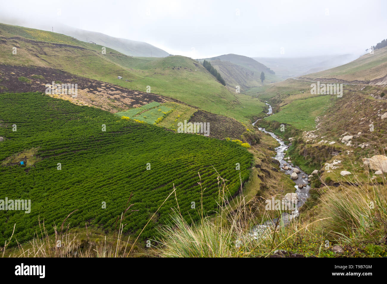 Vía Flores, old road from Ambato to Guaranda, next to the Ambato river ...