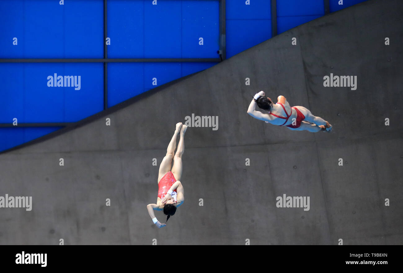 China's Shan Lin and Yani Chang in action in the 3m Synchro Springboard ...