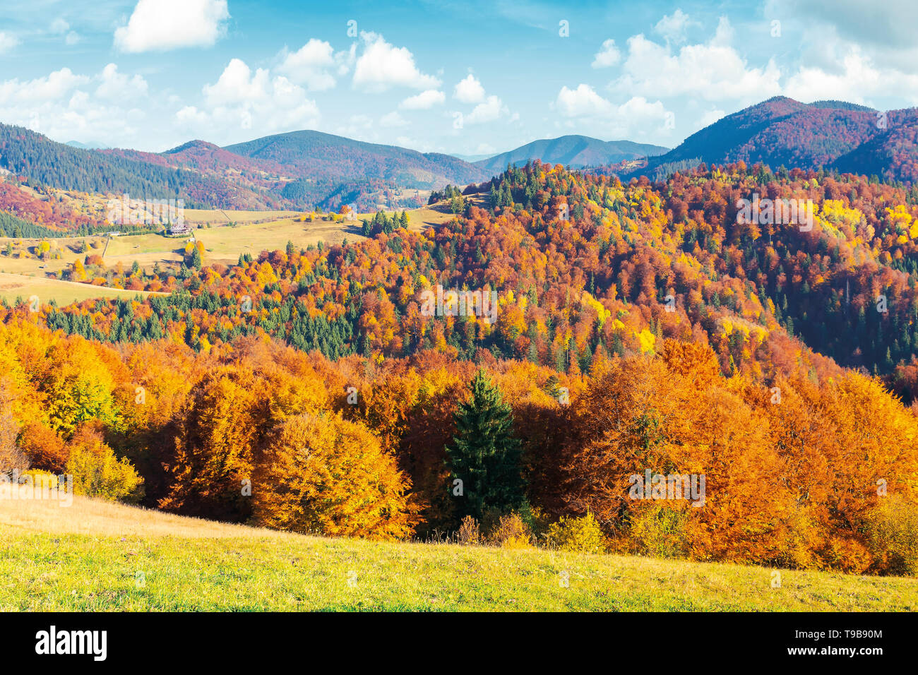 Golden Heaven High Resolution Stock Photography and Images - Alamy