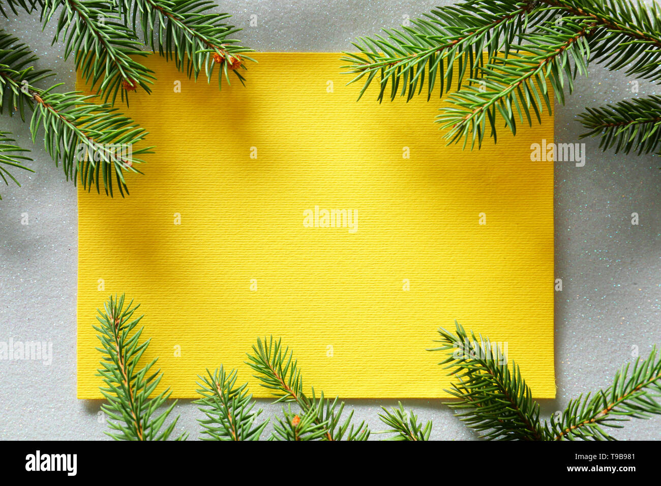 Blank paper sheet with fir tree branches on light background Stock ...