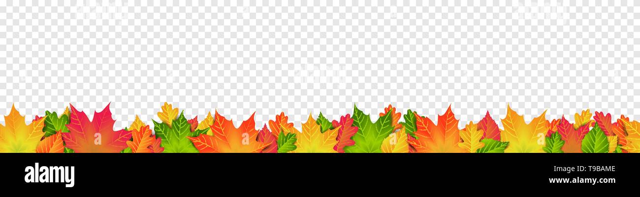 Colorful autumn leaves seamless pattern banner transparent background ...