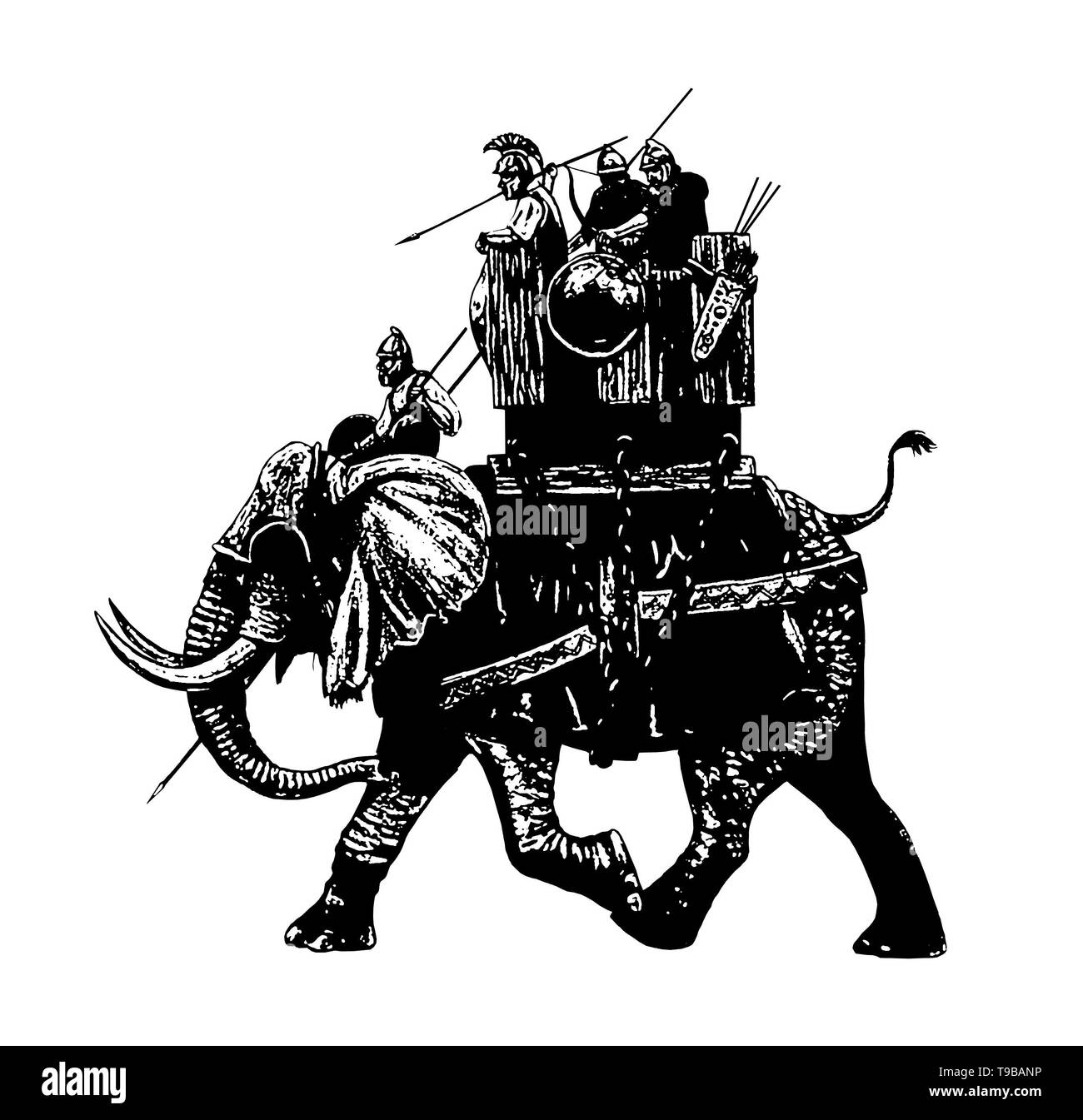 War elephant illustration, army of Carthage. Isolated black white ...