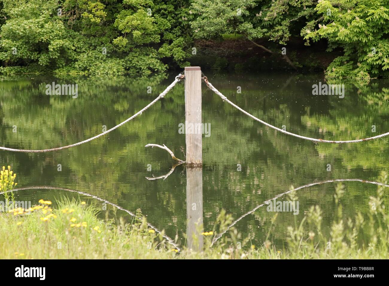 Odney Common at Cookham Berkshire Stock Photo - Alamy