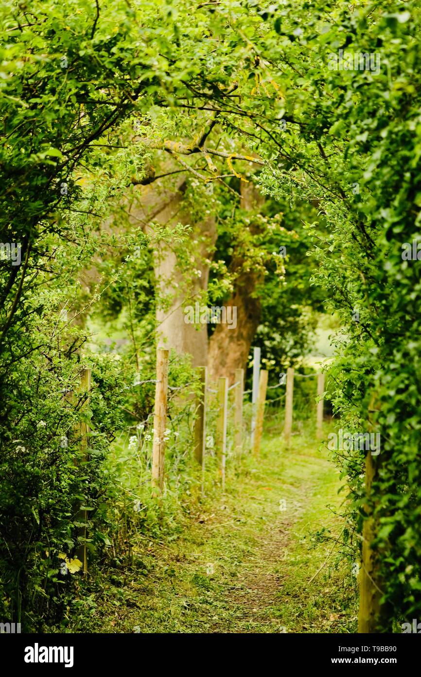 Odney High Resolution Stock Photography and Images - Alamy