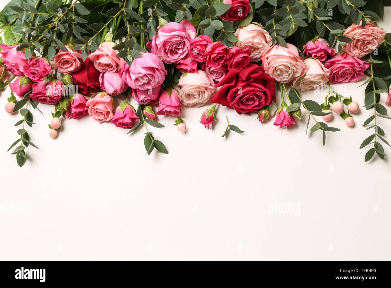 Many beautiful roses on white background Stock Photo - Alamy