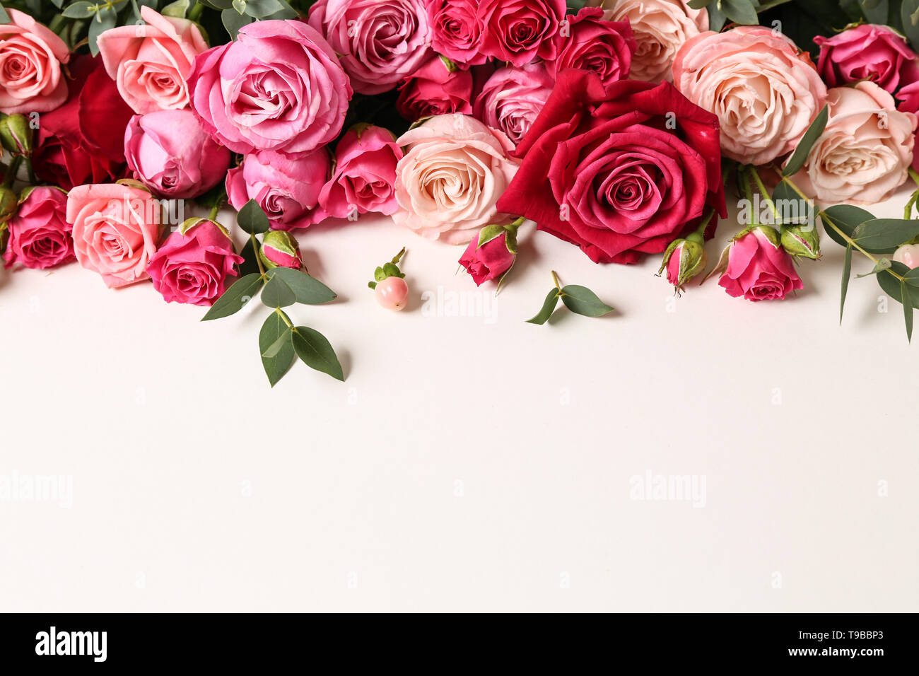 Many beautiful roses on white background Stock Photo - Alamy