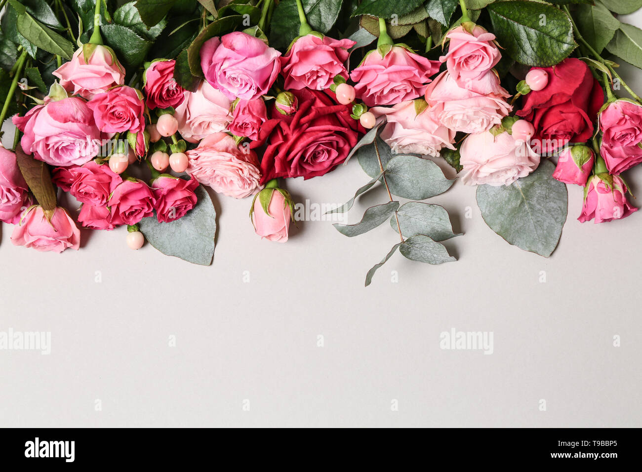 Many beautiful roses on white background Stock Photo - Alamy