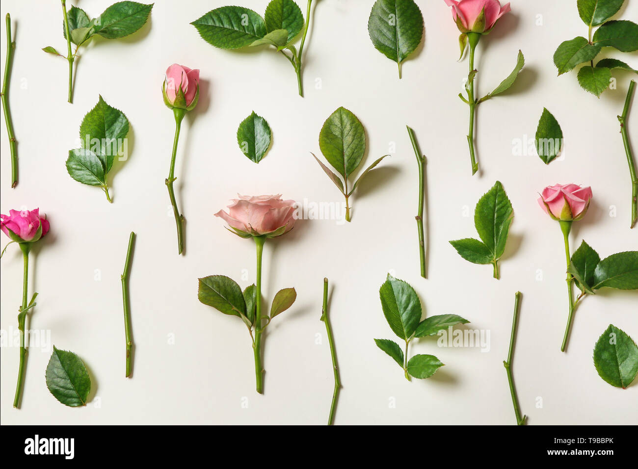 Flat lay composition with beautiful pink roses and leaves on white ...