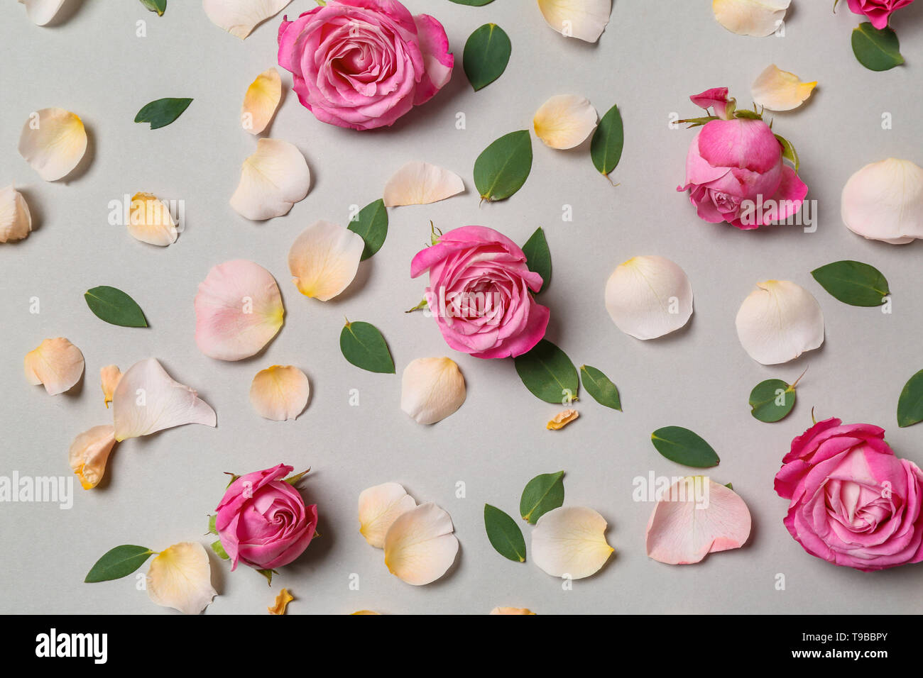Composition with beautiful pink roses and petals on grey background ...