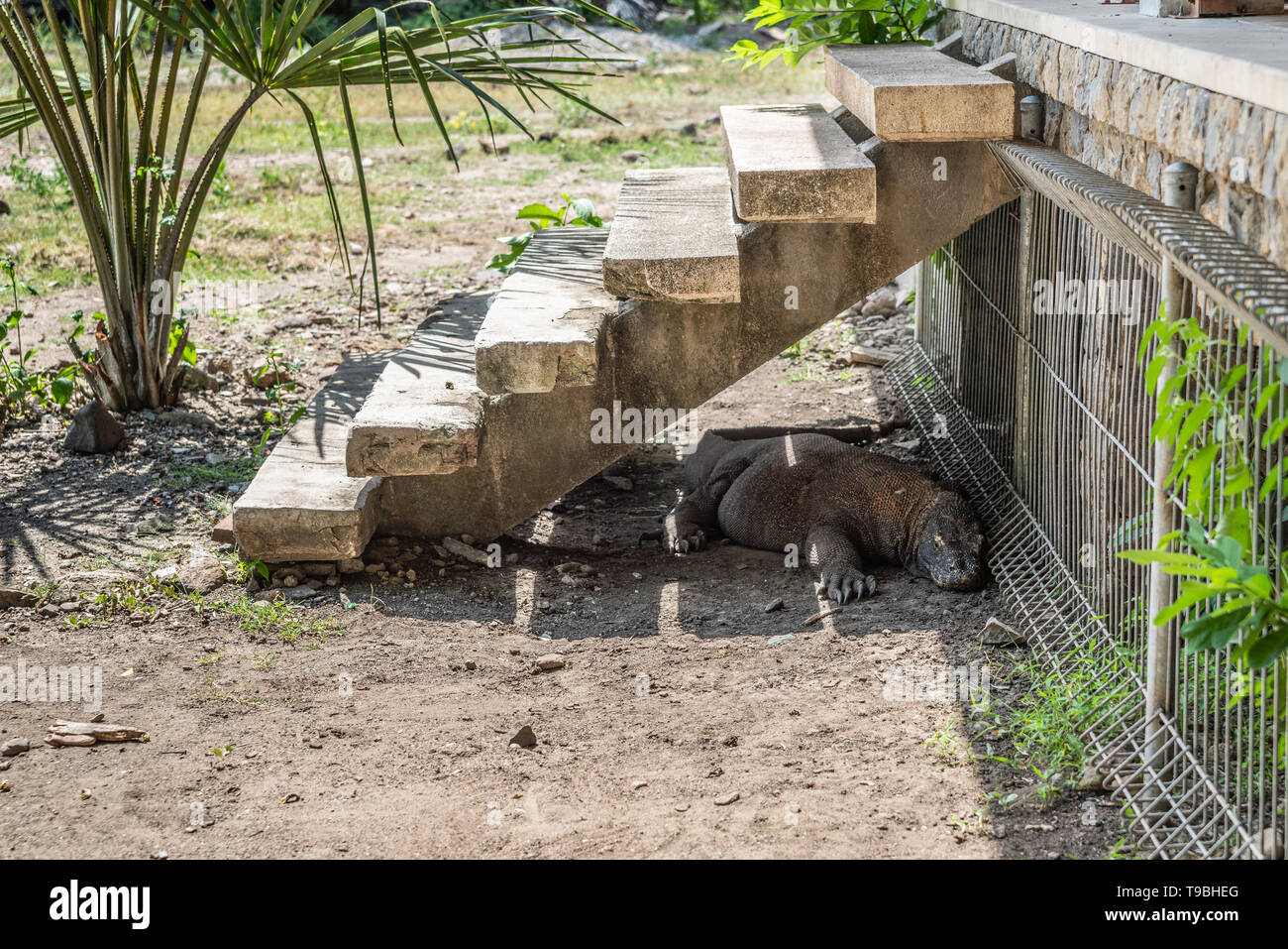 Komodo Island, Indonesia - February 24, 2019: Komodo National Park ...