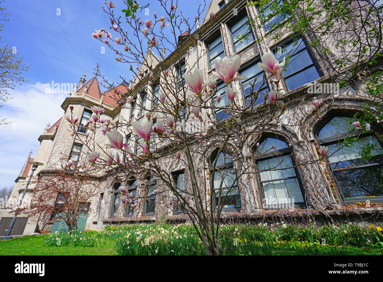 CHICAGO, IL -22 APR 2019- View of the Gothic campus of the University ...