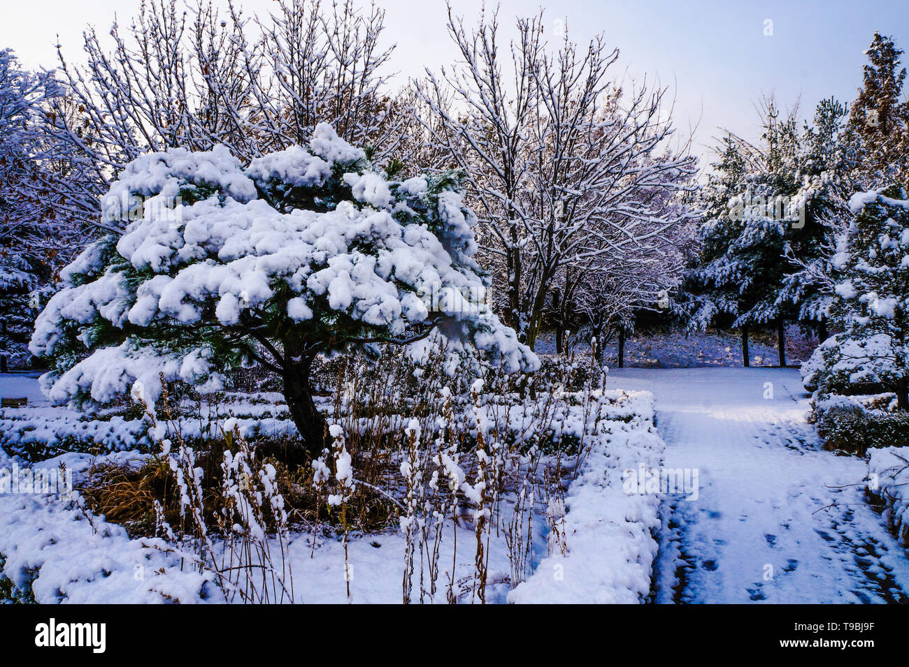 Winter Snowy Park Scenic Area Stock Photo - Alamy