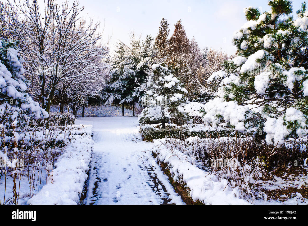 Winter Snowy Park Scenic Area Stock Photo - Alamy