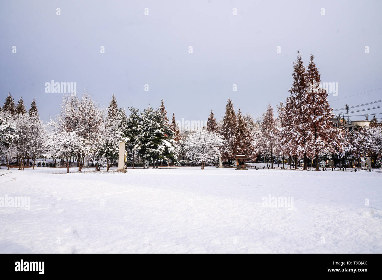 Winter Snowy Park Scenic Area Stock Photo - Alamy