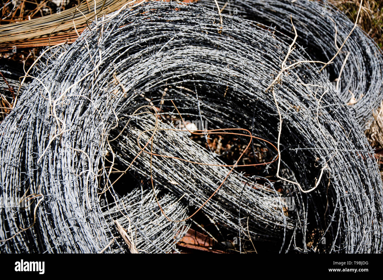 Coils of old barb wire on a cattle station Stock Photo - Alamy