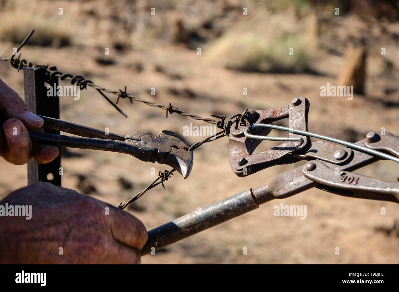 A man repairs a barb wire fence in Outback Australia using fencing ...
