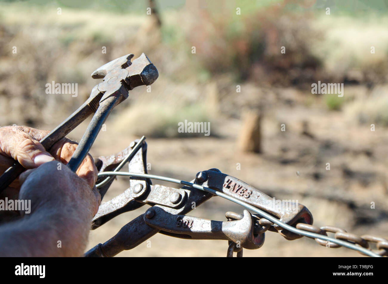 Fixing a fence using wire strainers and fencing pliers Stock Photo - Alamy