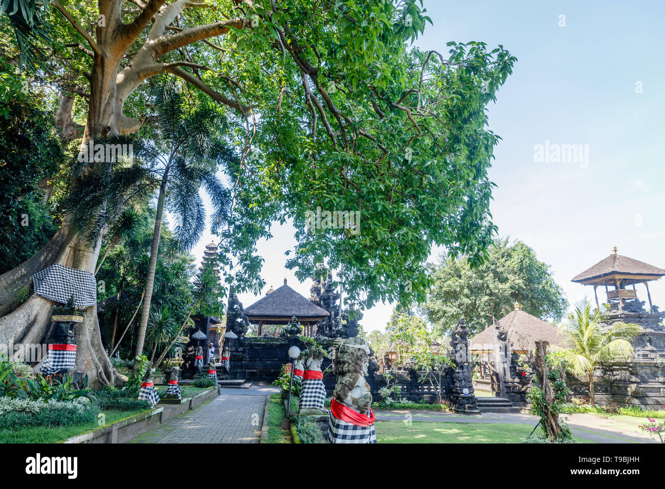 Big trees near Pura Goa Lawah ("Bat Cave Temple"), Balinese Hindu ...