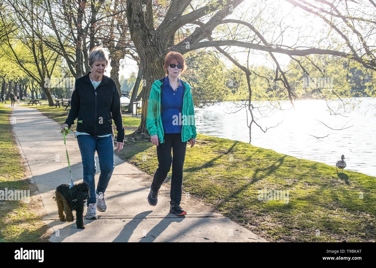 Two ladies walk in park hi-res stock photography and images - Alamy