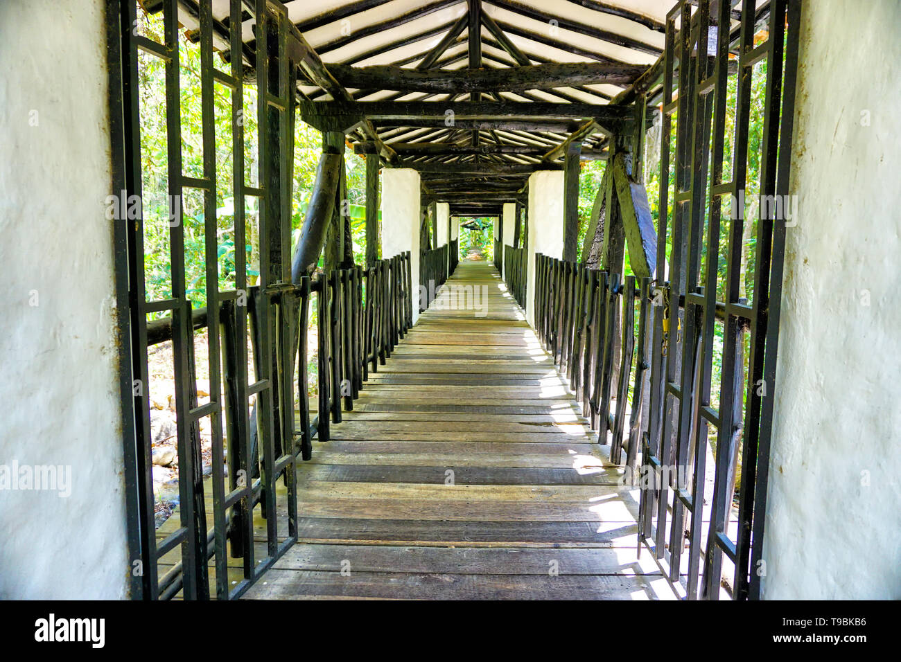 Colombia gallineral moss travel hi-res stock photography and images - Alamy