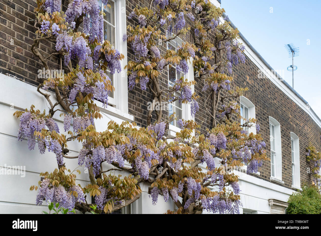 London england uk elm street hi-res stock photography and images - Alamy