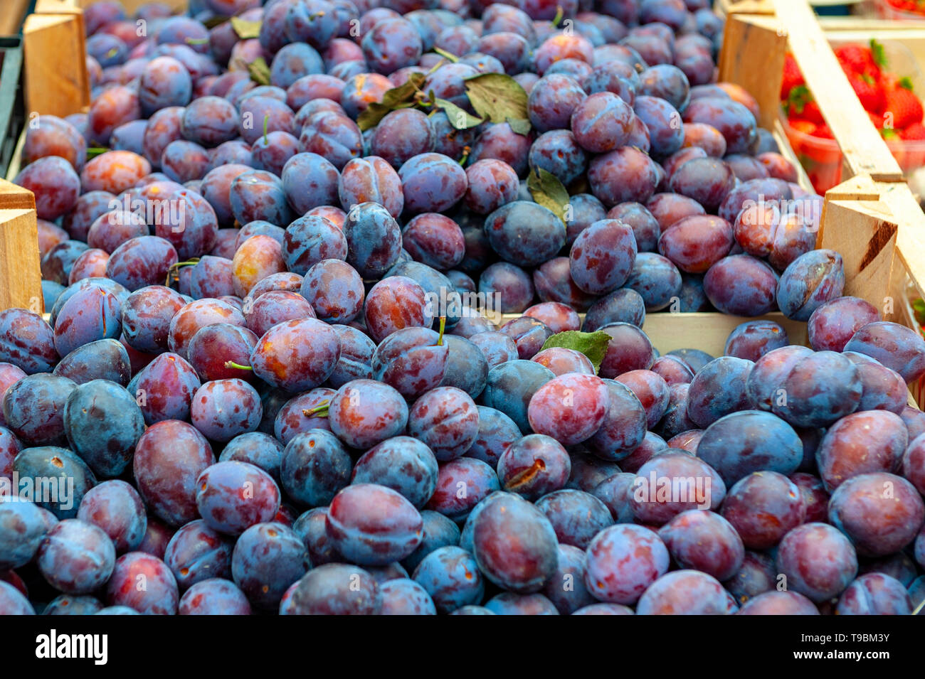 Fresh plums sold at market Stock Photo - Alamy