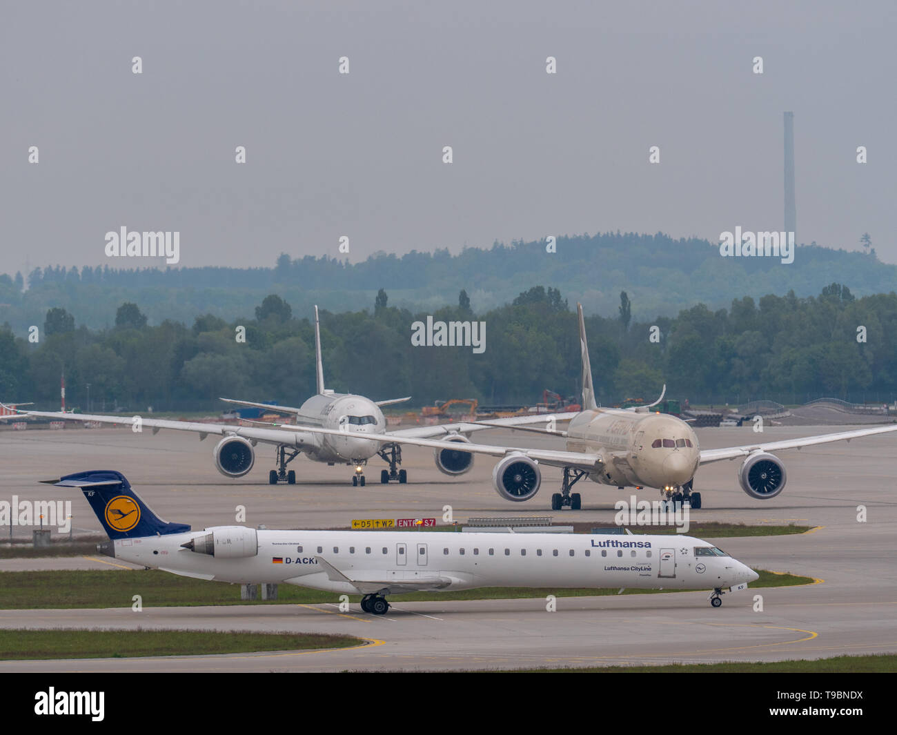 Acki hi-res stock photography and images - Alamy