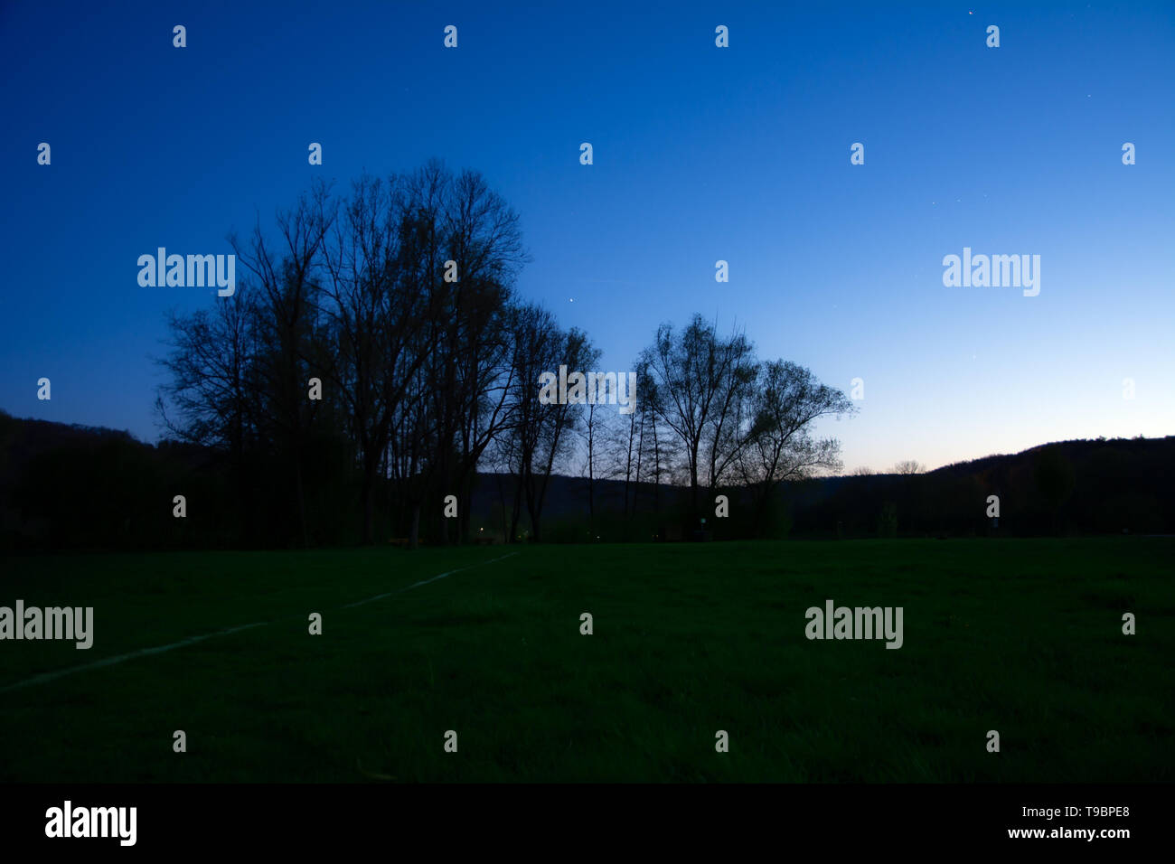 Tree silhouette blue hour hi-res stock photography and images - Alamy