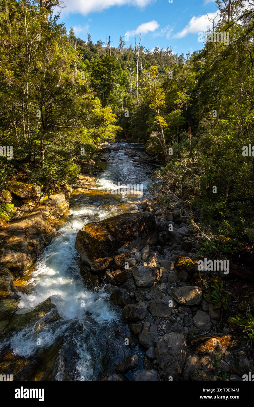 Meander river, national park, Tasmania Stock Photo - Alamy