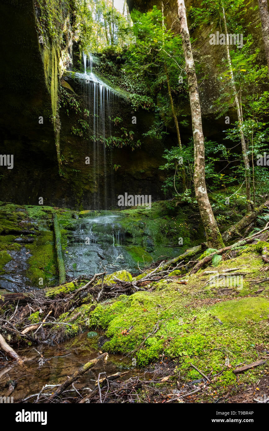 Creek fall at Split Rock Track, Meander, Tasmania Stock Photo - Alamy