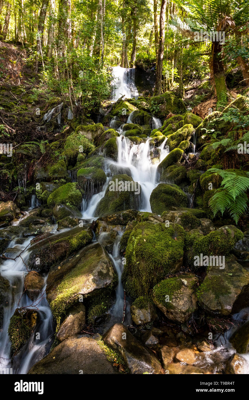 Meander tasmania hi-res stock photography and images - Alamy