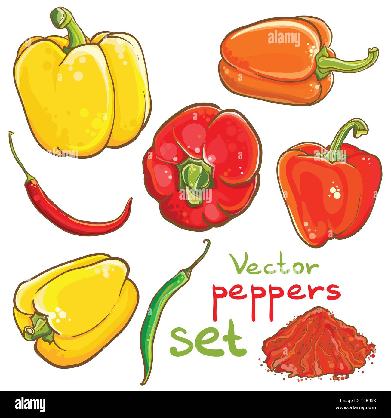 Vector illustration of peppers, chili peppers, cayenne and spice. Eps ...