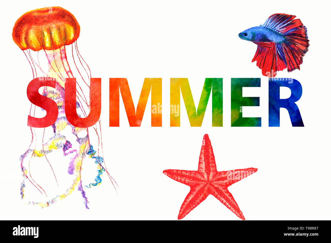 Watercolor summer illustration. Hand-painted rainbow fishes and shells ...