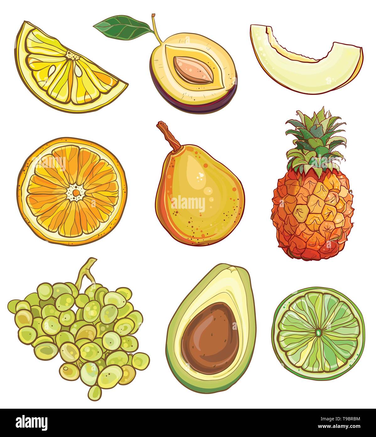 Vector illustration of lemon, plum, melon, orange, pear, pineapple ...