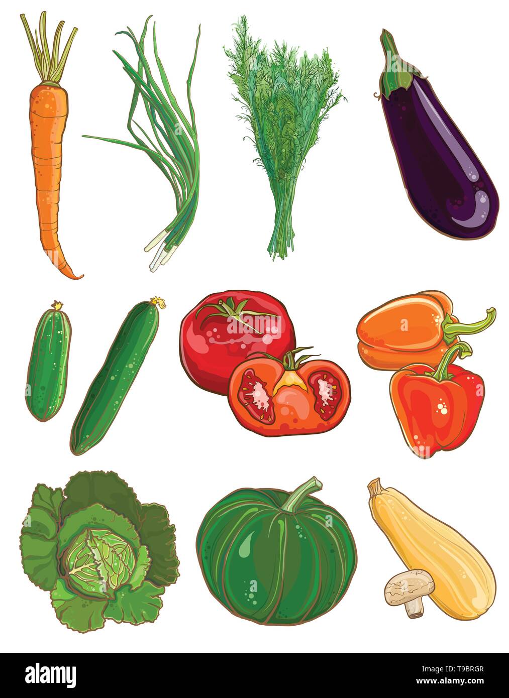 Garden vegeta Stock Vector Images - Alamy