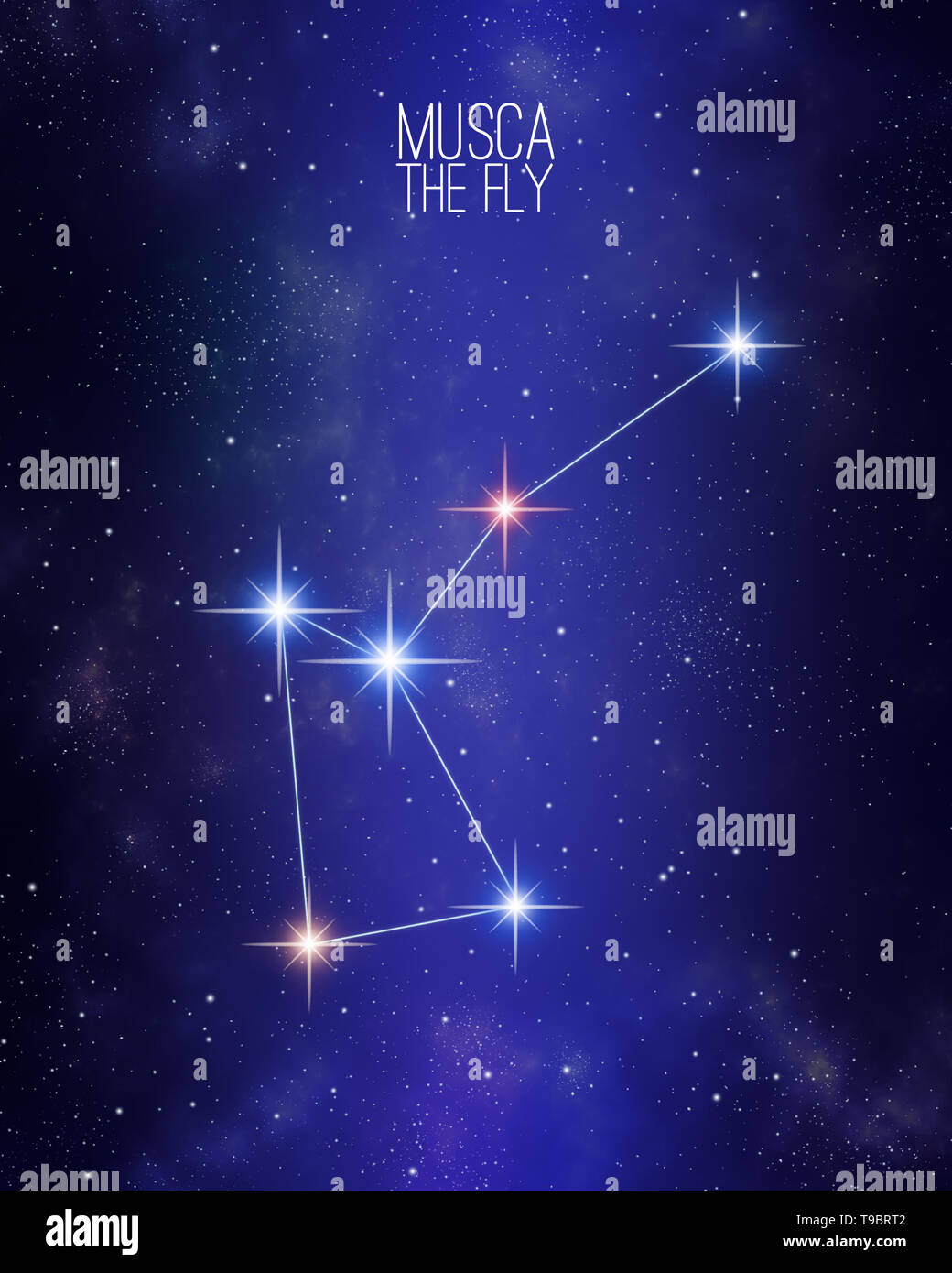 Musca the fly constellation map on a starry space background. Stars ...