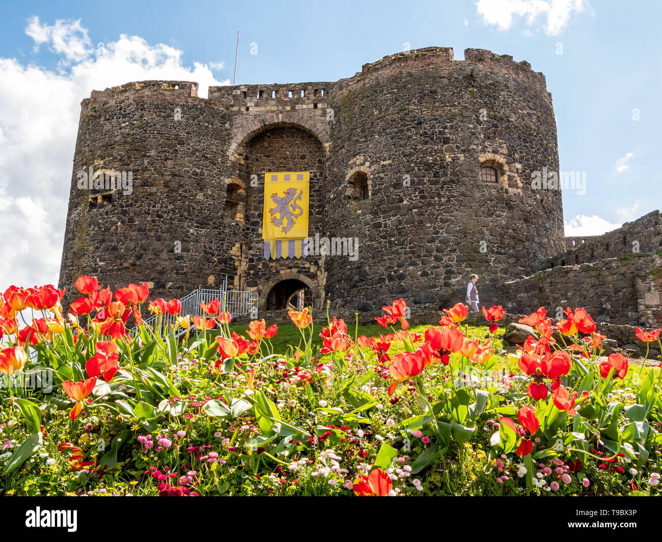 John de courcy hi-res stock photography and images - Alamy