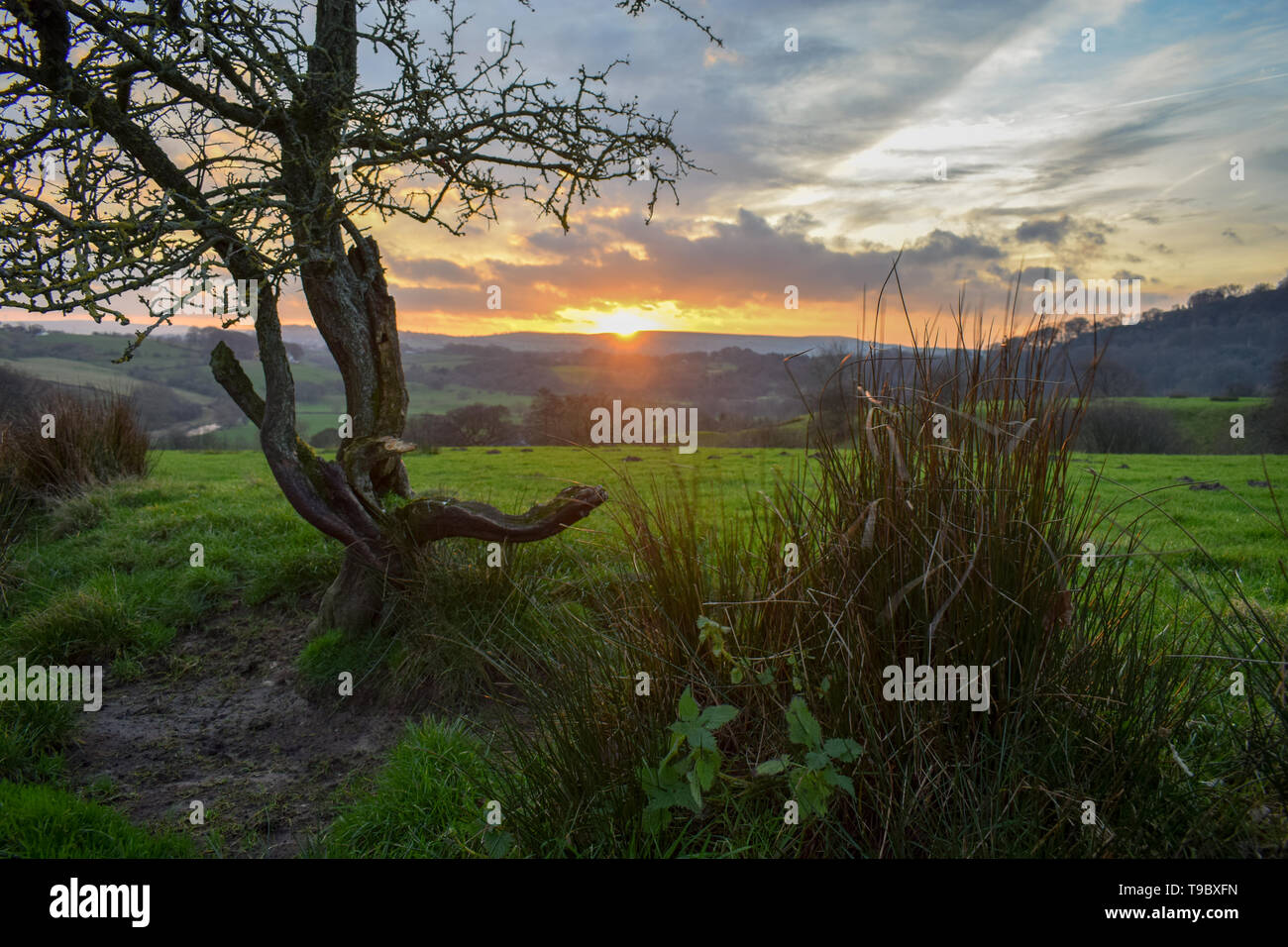 Beautiful sunrise dawn landscape countryside hi-res stock photography ...