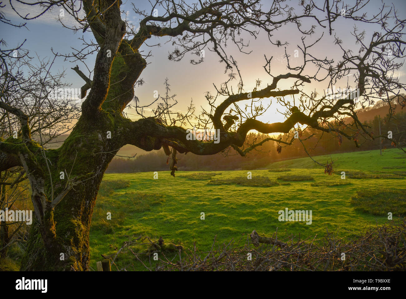 Sunrise across the valley fields Stock Photo - Alamy