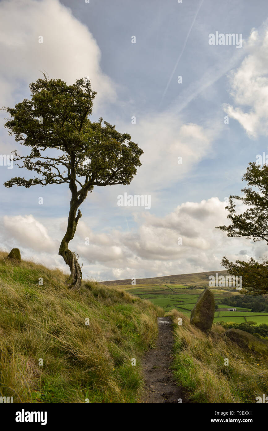 Bleak windy moors hi-res stock photography and images - Alamy