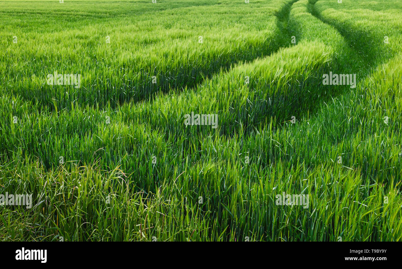English agriculture hi-res stock photography and images - Alamy